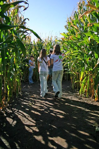 Weiss Centennial Farm | Frankenmuth